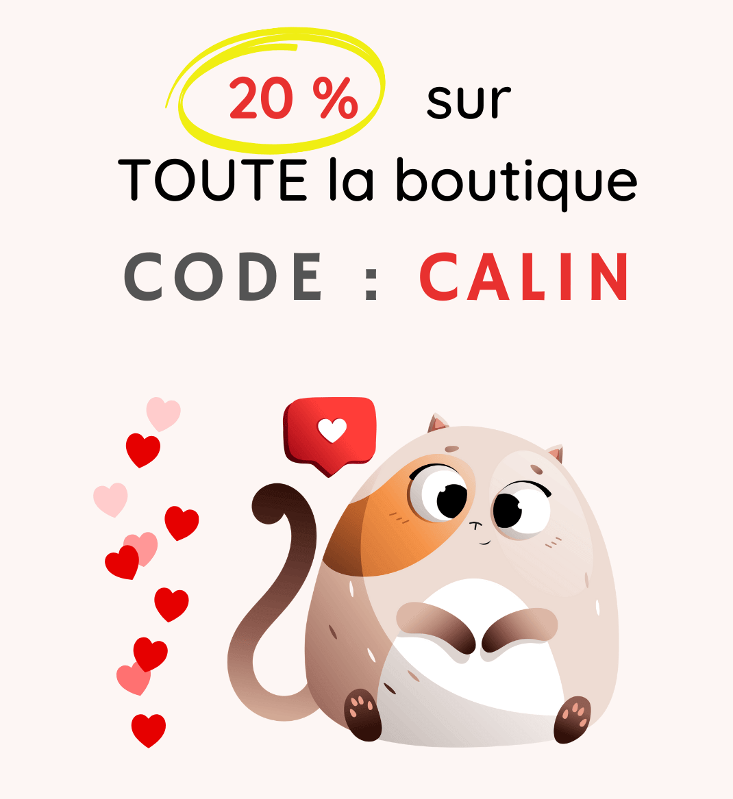 Kettricken, le châle parfait pour le printemps ! Patron tricot facile